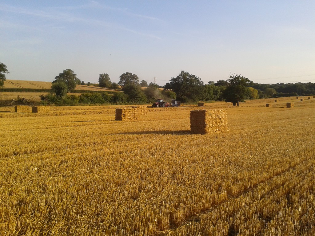 Straw - Rochetts Farm